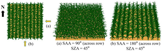 Evaluation of the SAIL Radiative Transfer Model for Simulating Canopy ...