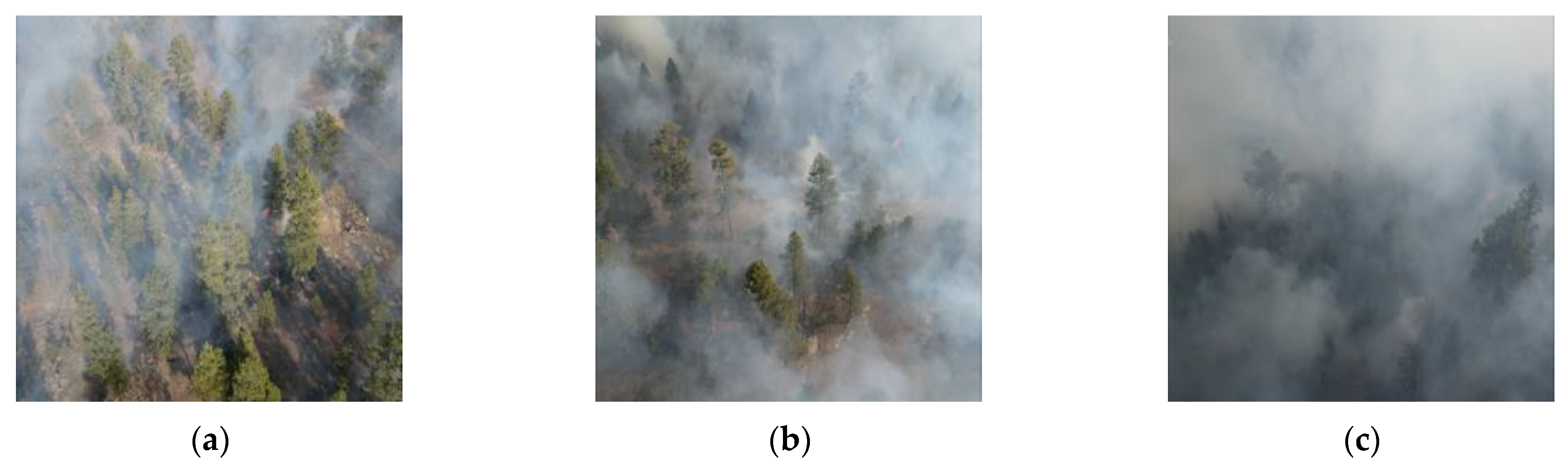 FuF-Det: An Early Forest Fire Detection Method under Fog