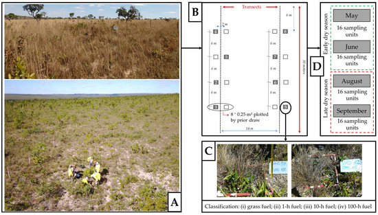 Estimating the Surface Fuel Load of the Plant Physiognomy of the ...