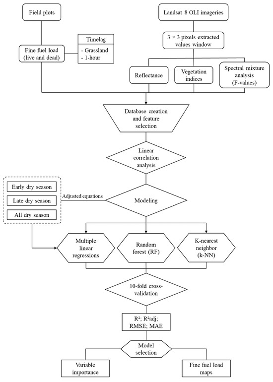 Estimating the Surface Fuel Load of the Plant Physiognomy of the ...