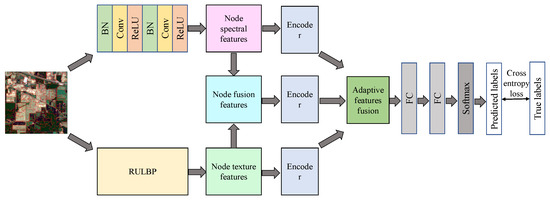 Adaptive Multi-Feature Fusion Graph Convolutional Network for Hyperspectral Image Classification