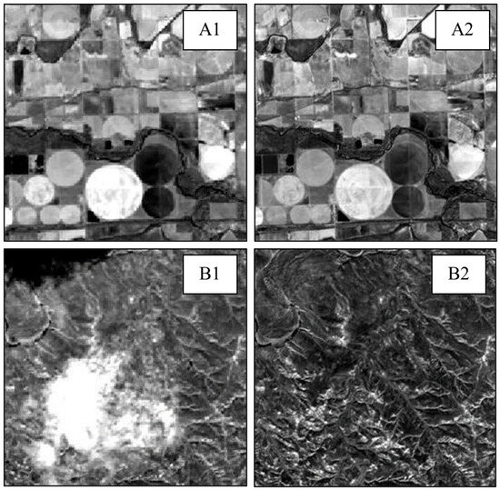 Spatial and Spectral Translation of Landsat 8 to Sentinel-2 Using Conditional Generative ...