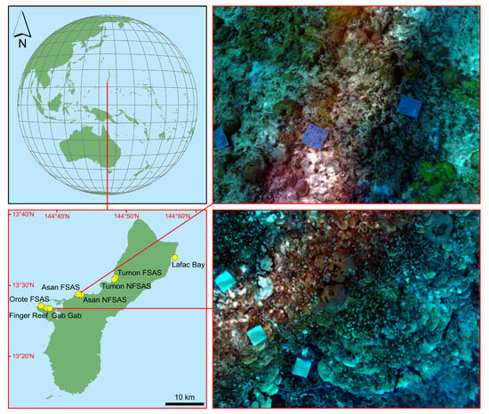 Structural Complexity of Coral Reefs in Guam, Mariana Islands