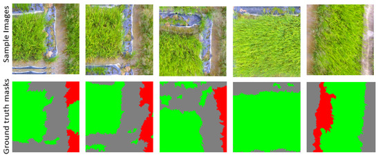 Remote Sensing | Free Full-Text | Weed–Crop Segmentation in Drone Images with a Novel Encoder ...