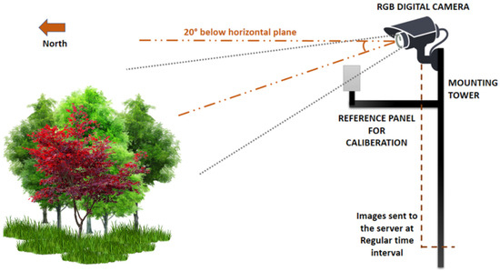 Plugging the Gaps in the Global PhenoCam Monitoring of Forests—The Need ...