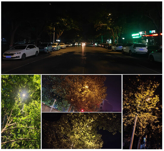 Remote Sensing | Free Full-Text | Analysis of Light Obstruction from ...