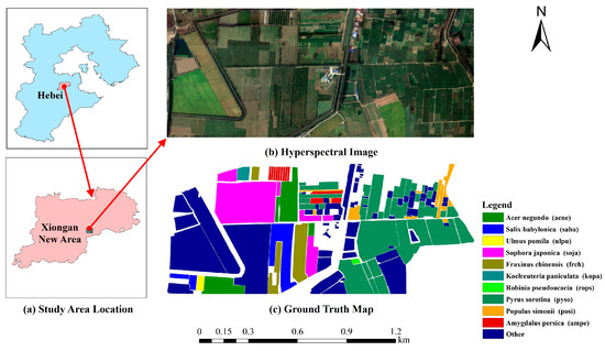Tree Species Classification from Airborne Hyperspectral Images Using ...