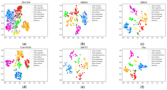 Tree Species Classification from Airborne Hyperspectral Images Using Spatial–Spectral Network