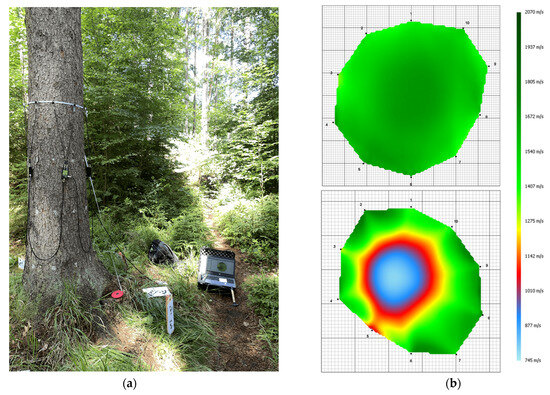 Internal Tree Trunk Decay Detection Using Close-Range Remote Sensing ...