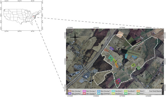 Remote Sensing | Free Full-Text | Pasture Biomass Estimation Using ...