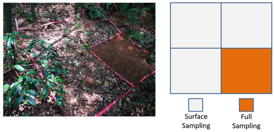 Estimating Fine Fuel Load Using Sentinel-2A Imagery and Machine ...
