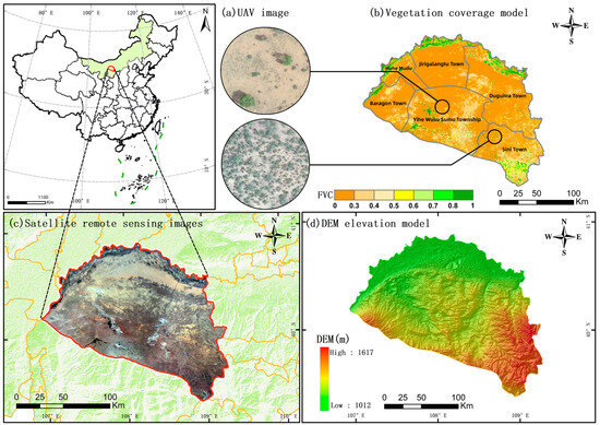 A New Remote Sensing Desert Vegetation Detection Index