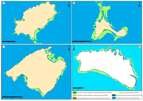 Posidonia oceanica Cartography and Evolution of the Balearic Sea ...