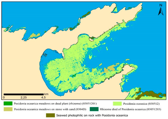 Posidonia oceanica Cartography and Evolution of the Balearic Sea ...