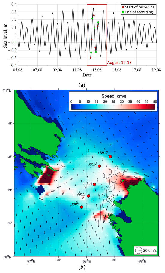 Multi-Sensor Observations Reveal Large-Amplitude Nonlinear Internal ...