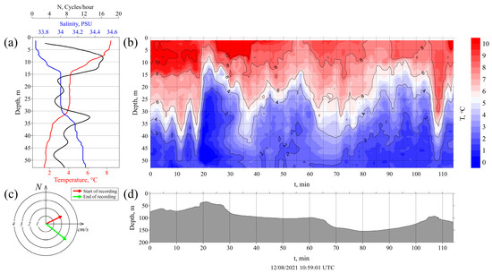 Multi-Sensor Observations Reveal Large-Amplitude Nonlinear Internal ...