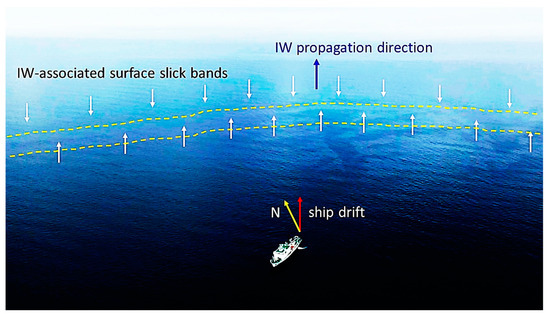 Multi-Sensor Observations Reveal Large-Amplitude Nonlinear Internal ...