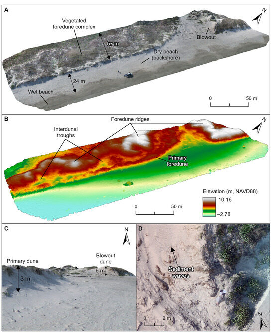 Quantifying the Impact of Hurricane Harvey on Beach−Dune Systems of the ...