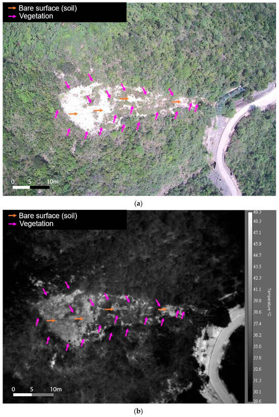 A Feasibility Study of Thermal Infrared Imaging for Monitoring Natural ...