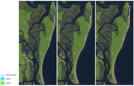 Evaluation and Analysis of Remote Sensing-Based Approach for Salt Marsh ...
