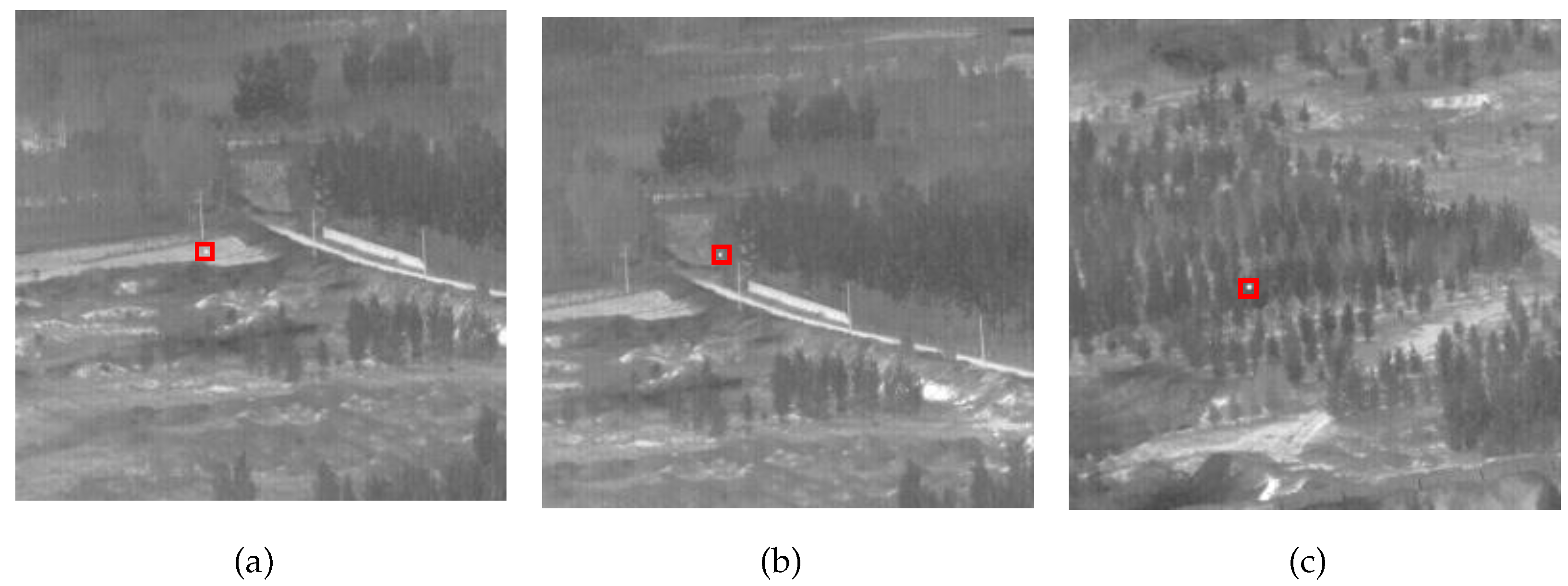 Infrared Small Dim Target Detection Using Group Regularized Principle ...