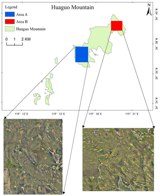Remote Sensing | Free Full-Text | Self-Adaptive-Filling Deep ...