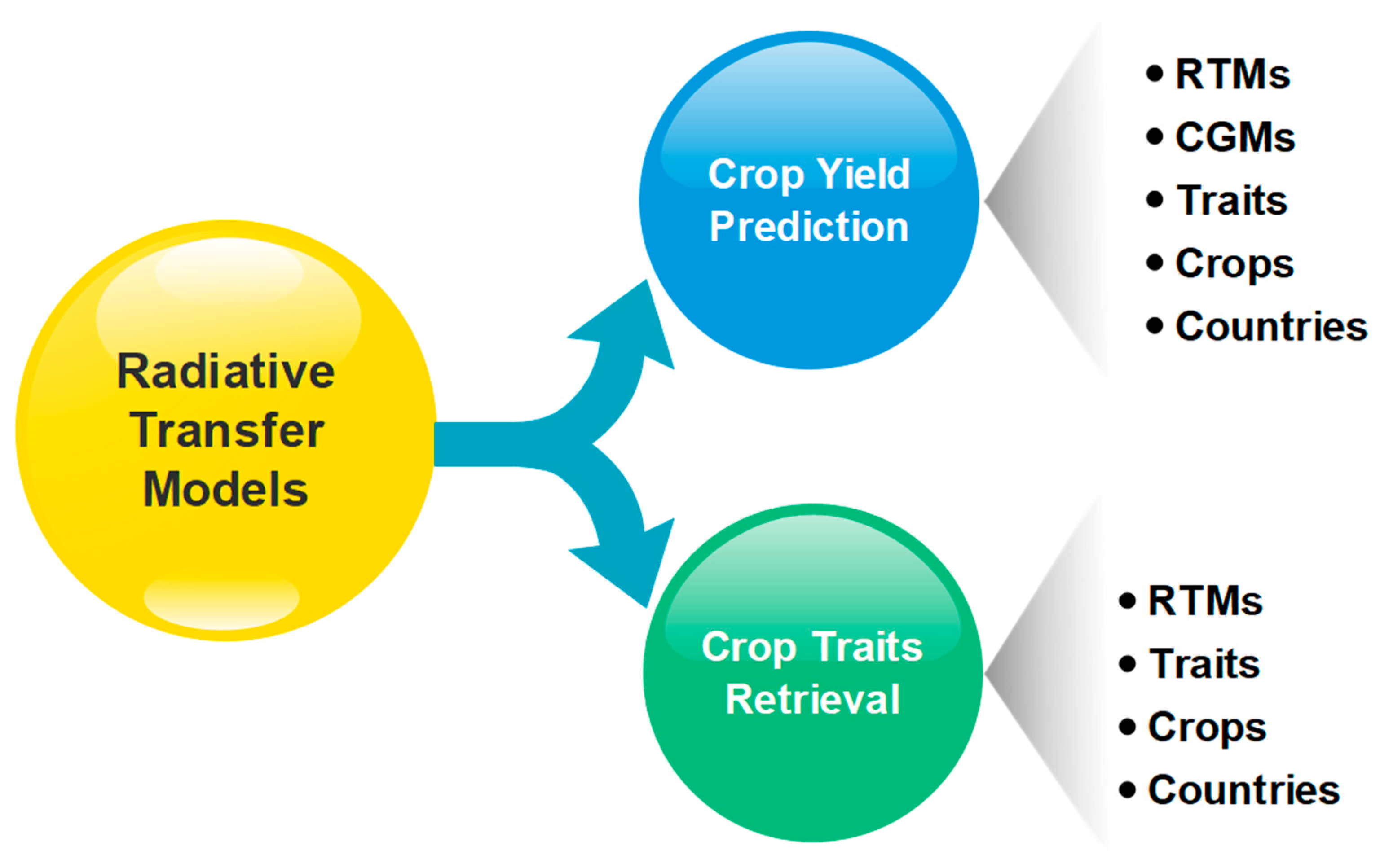 Remote Sensing | Free Full-Text | A Systematic Review of Radiative Transfer Models for Crop ...