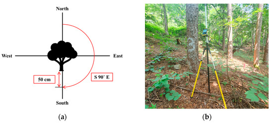 Assessment of the GNSS-RTK for Application in Precision Forest Operations
