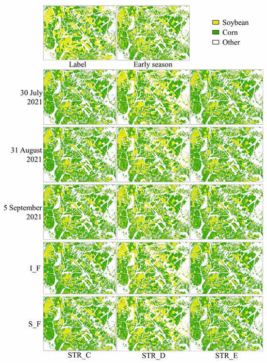 Remote Sensing | Free Full-Text | Time-Series-Based Spatiotemporal ...