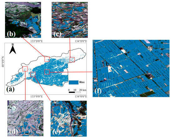 Remote Sensing | Free Full-Text | Automatic Rice Early-Season Mapping ...