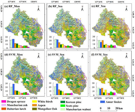 Evaluating The Potential Of Sentinel 2 Time Series Imagery And Machine Learning For Tree Species