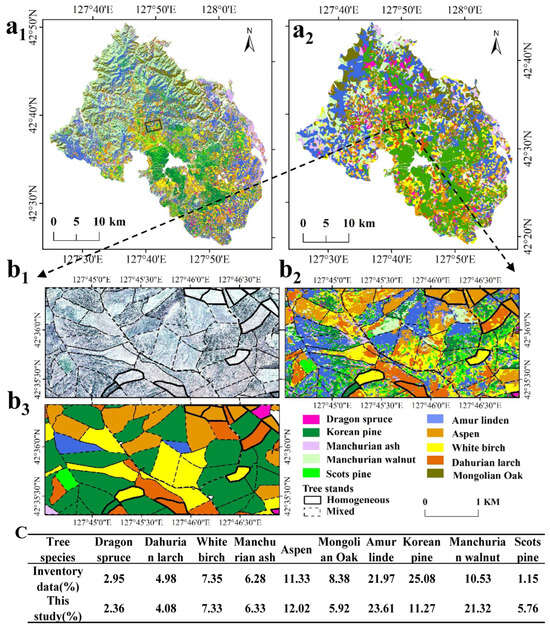Evaluating The Potential Of Sentinel 2 Time Series Imagery And Machine Learning For Tree Species