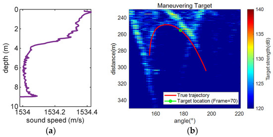 Tracking-by-Detection Algorithm for Underwater Target Based on Improved ...
