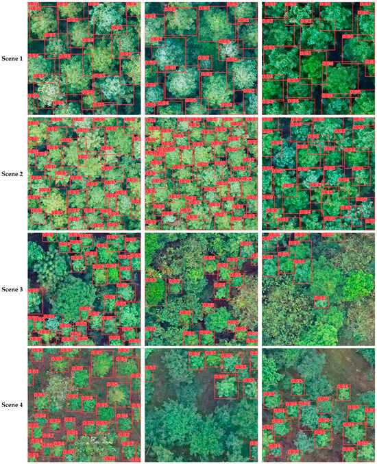 Tree-Level Chinese Fir Detection Using UAV RGB Imagery and YOLO-DCAM