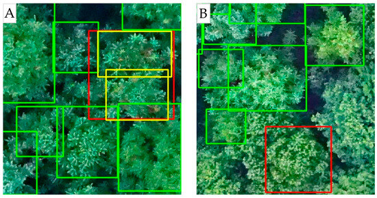 Tree-Level Chinese Fir Detection Using UAV RGB Imagery and YOLO-DCAM