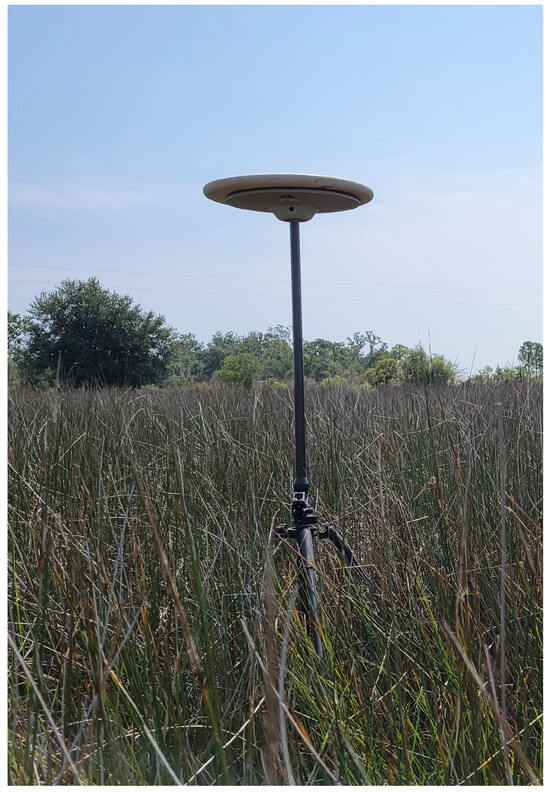 Remote Sensing | Free Full-Text | Influence of Flight Altitude and ...