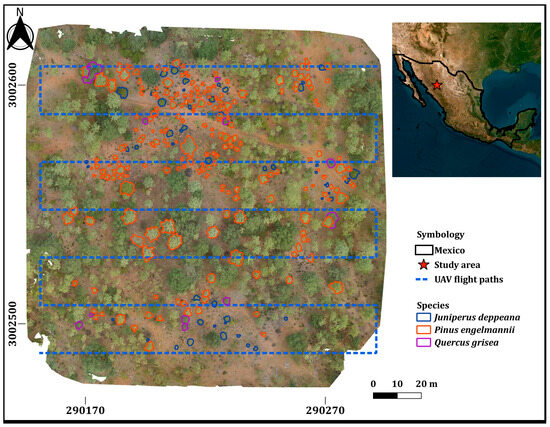 Remote Sensing | Free Full-Text | Cutting the Greenness Index into 12 ...