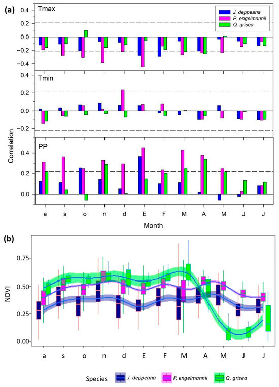 Remote Sensing | Free Full-Text | Cutting the Greenness Index into 12 Monthly Slices: How Intra ...