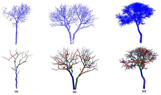 Individual Tree-Scale Aboveground Biomass Estimation of Woody ...