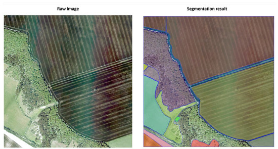 Evaluating the Efficacy of Segment Anything Model for Delineating ...