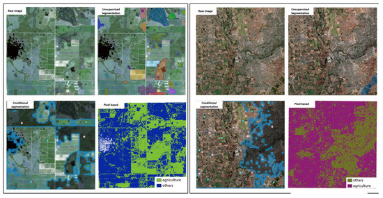 Evaluating the Efficacy of Segment Anything Model for Delineating ...