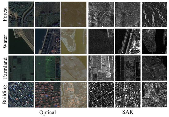 Learning SAR-Optical Cross Modal Features for Land Cover Classification