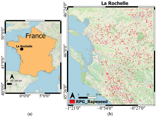 Determining Effective Temporal Windows for Rapeseed Detection Using Sentinel-1 Time Series and ...
