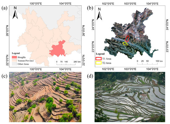 Dual-Task Network for Terrace and Ridge Extraction: Automatic Terrace ...