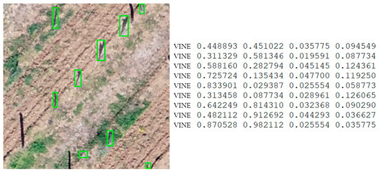 Vineyard Zoning and Vine Detection Using Machine Learning in Unmanned Aerial Vehicle Imagery