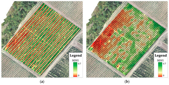 Vineyard Zoning and Vine Detection Using Machine Learning in Unmanned Aerial Vehicle Imagery