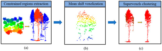 Individual-Tree Segmentation from UAV–LiDAR Data Using a Region-Growing ...