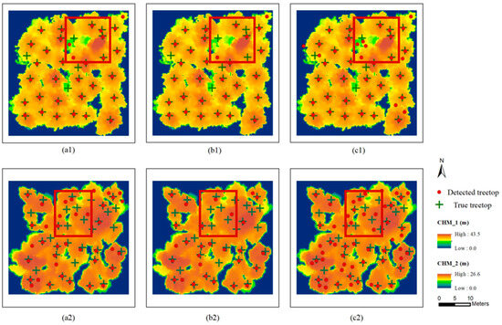 Individual-Tree Segmentation from UAV–LiDAR Data Using a Region-Growing ...