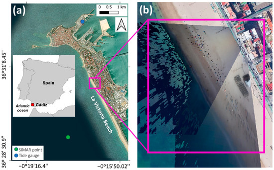 Remote Sensing | Free Full-Text | Assessing Satellite-Derived Shoreline Detection on a Mesotidal ...