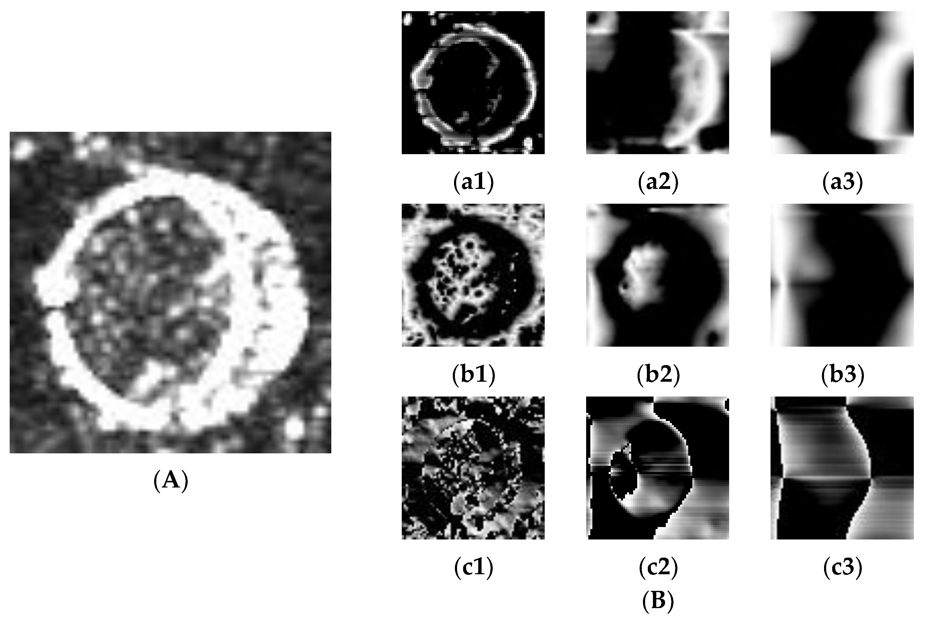 Remote Sensing | Free Full-Text | Oil Tank Detection and Recognition ...